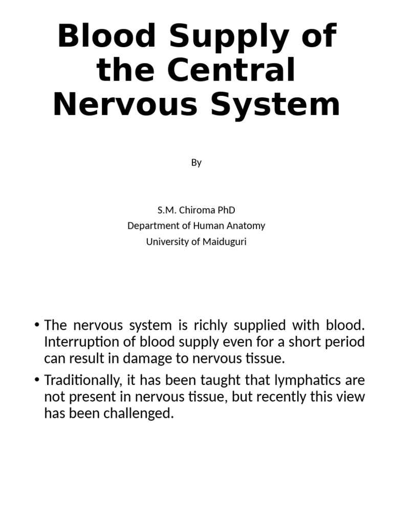 Modular-Blood Supply of Brain | PDF | Vein | Cerebrum