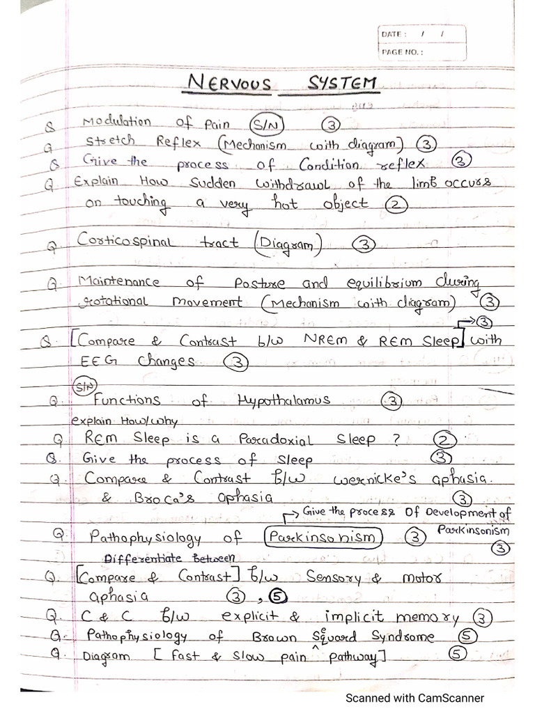 Physio Important Questions (Papers) | PDF
