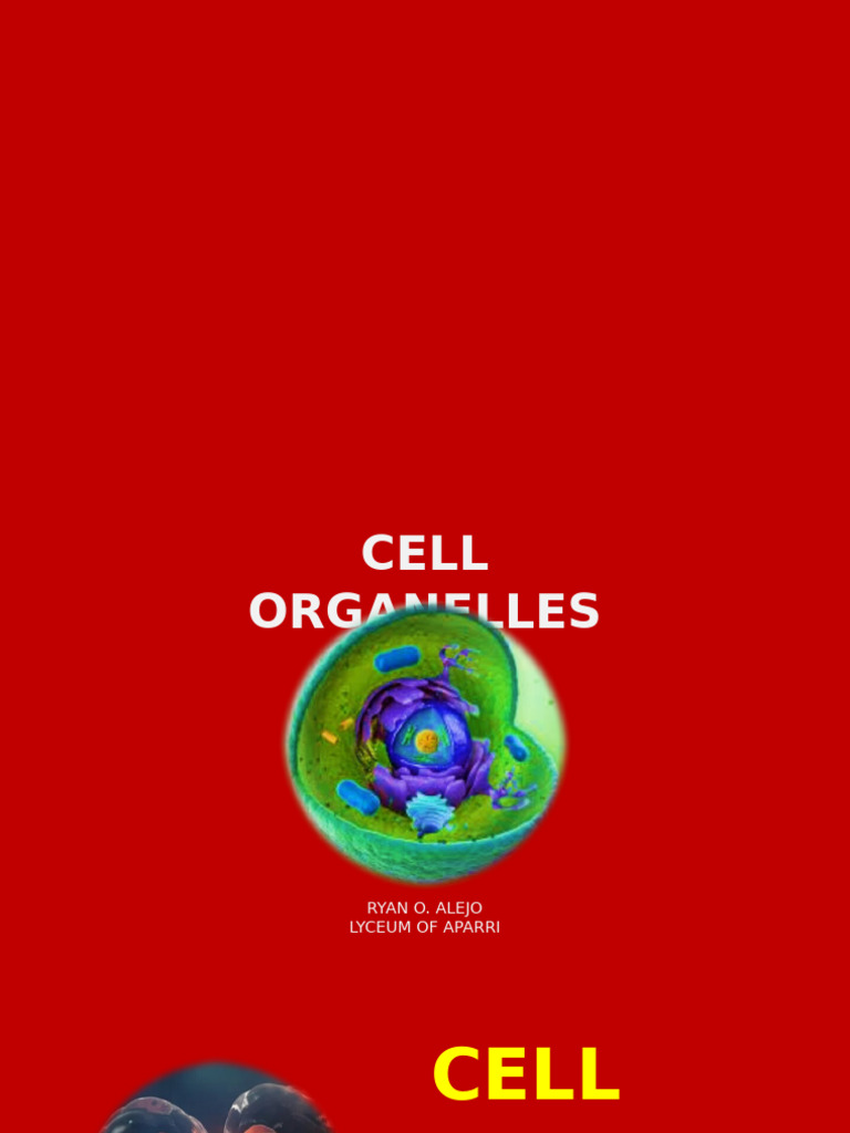 Cell Organelles | PDF