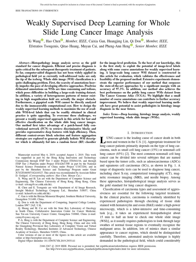 Weakly Supervised Deep Learning For Whole Slide Lung Cancer Image Analysis | PDF | Cancer ...