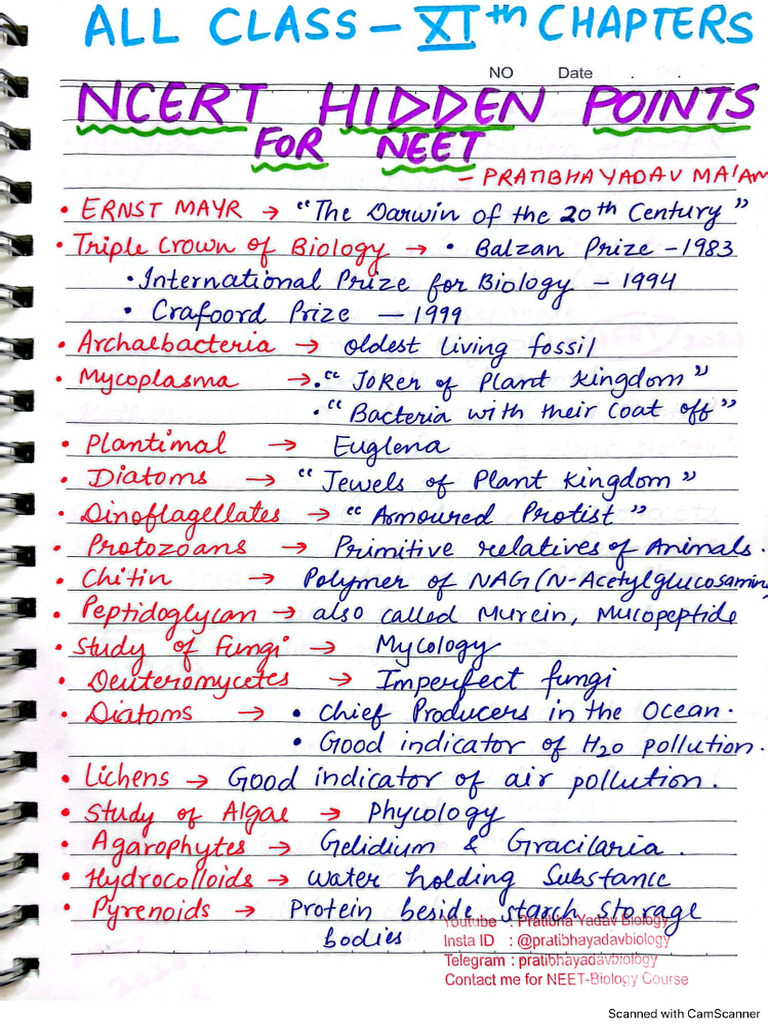 NCERT HIDDEN DATA - PY MAM NOTES | PDF