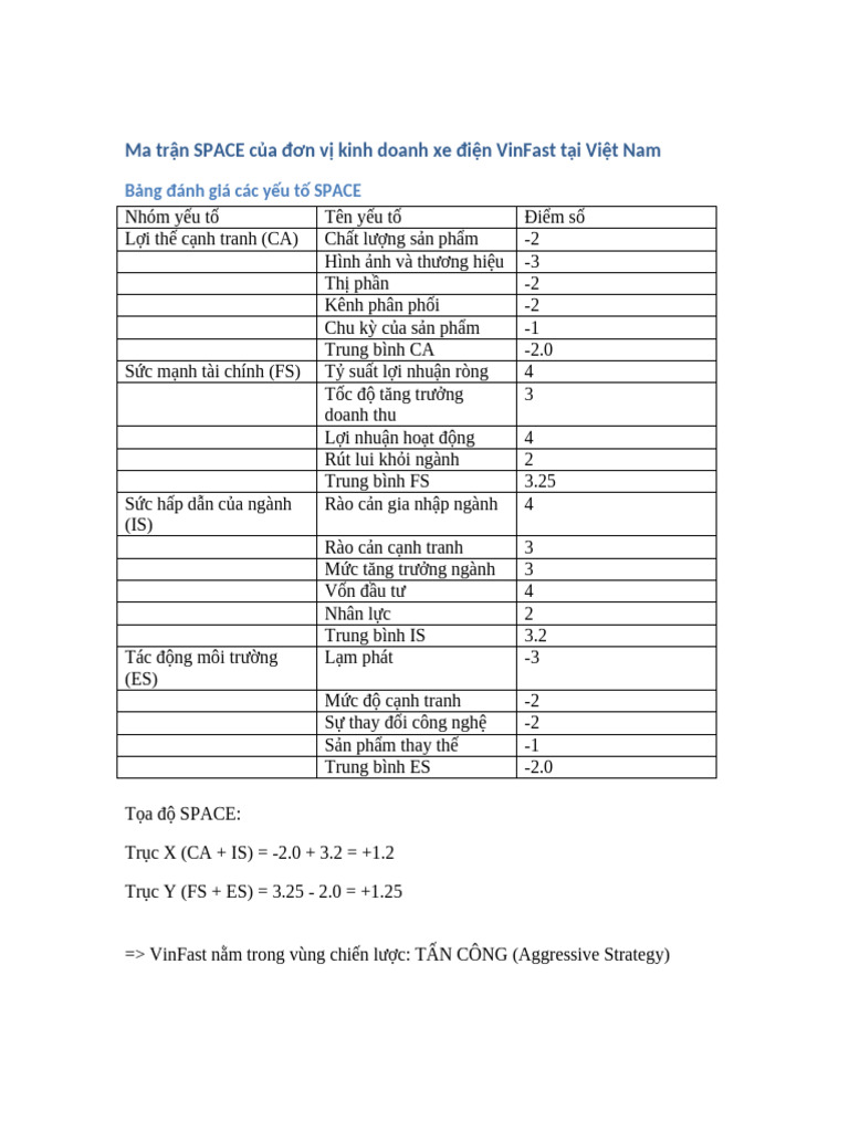 SPACE Matrix VinFast | PDF