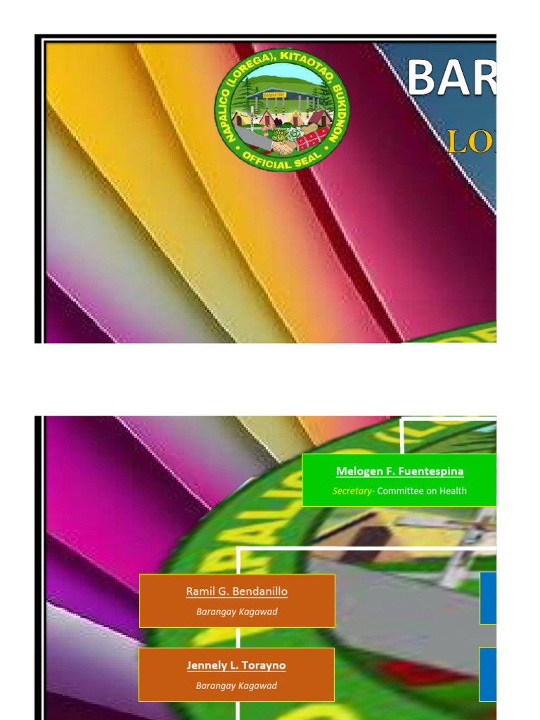 Barangay Health Board Structure | PDF