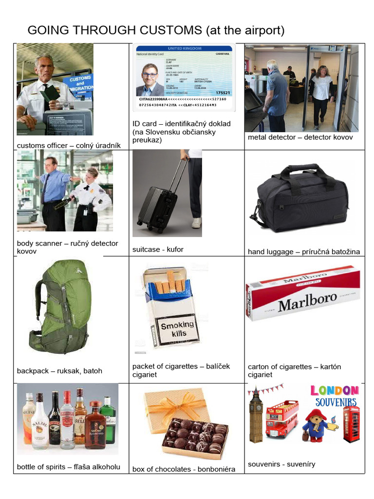 Going Through Customs - Picture Vocabulary | PDF
