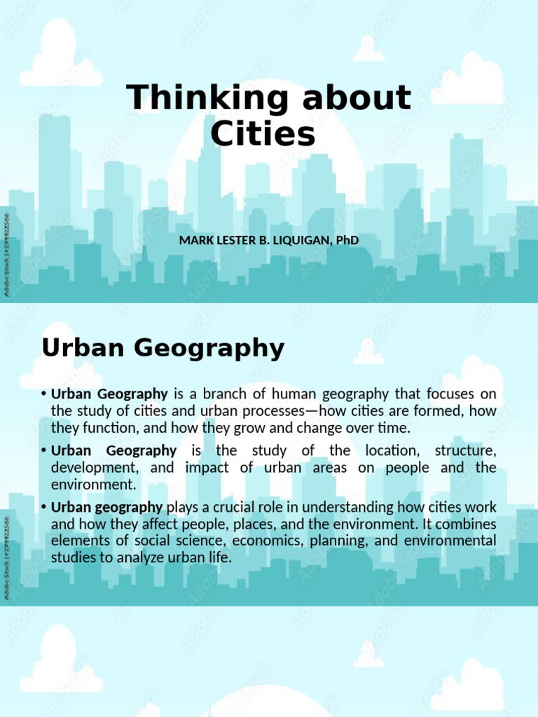 Understanding Megacities and Metacities | PDF | City | Urban Geography