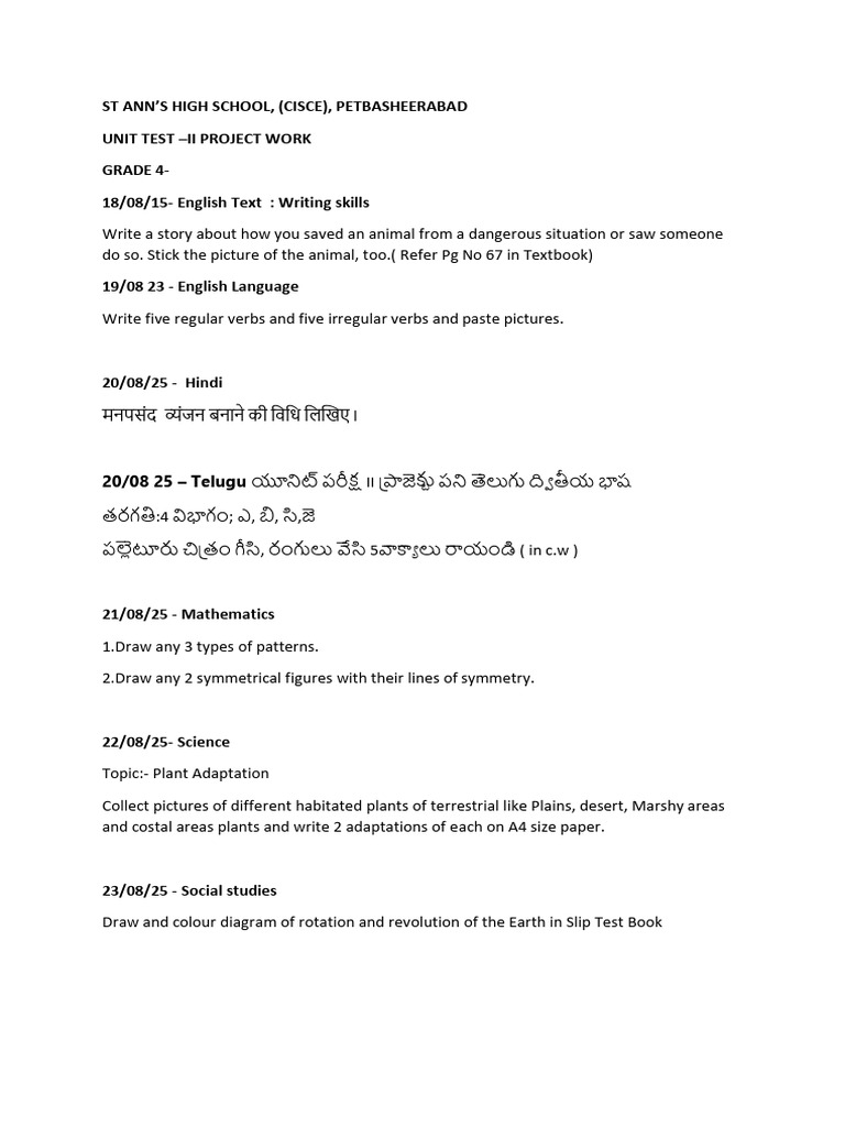 Grade 4 Project Work Overview | PDF