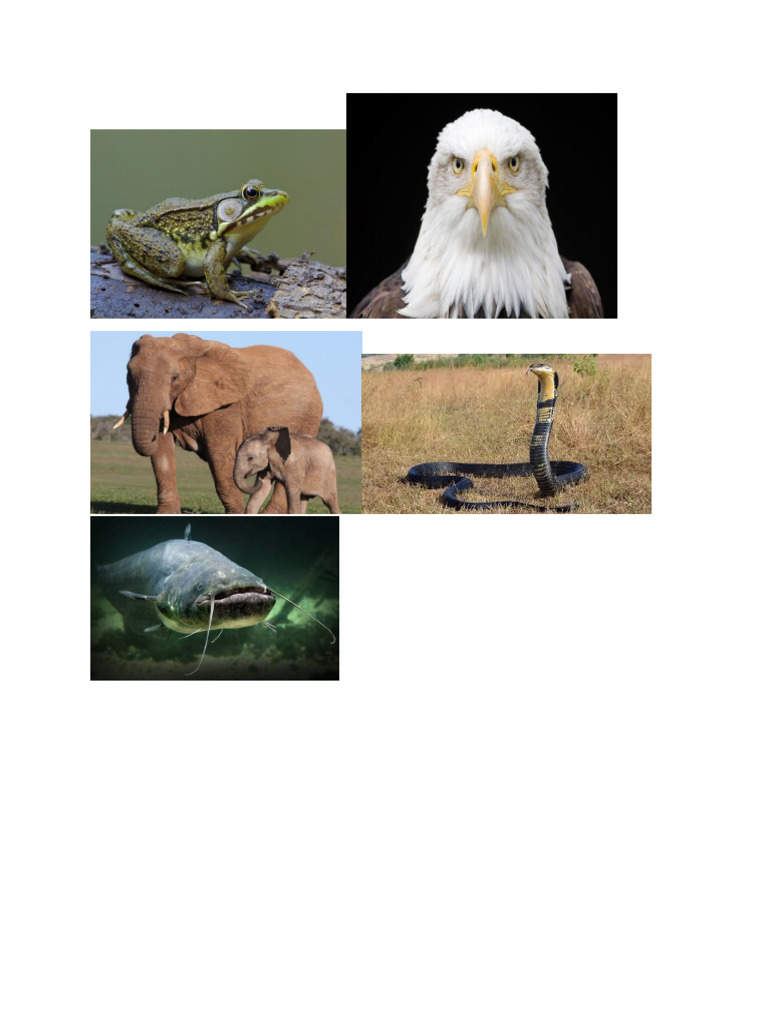 Save | PDF