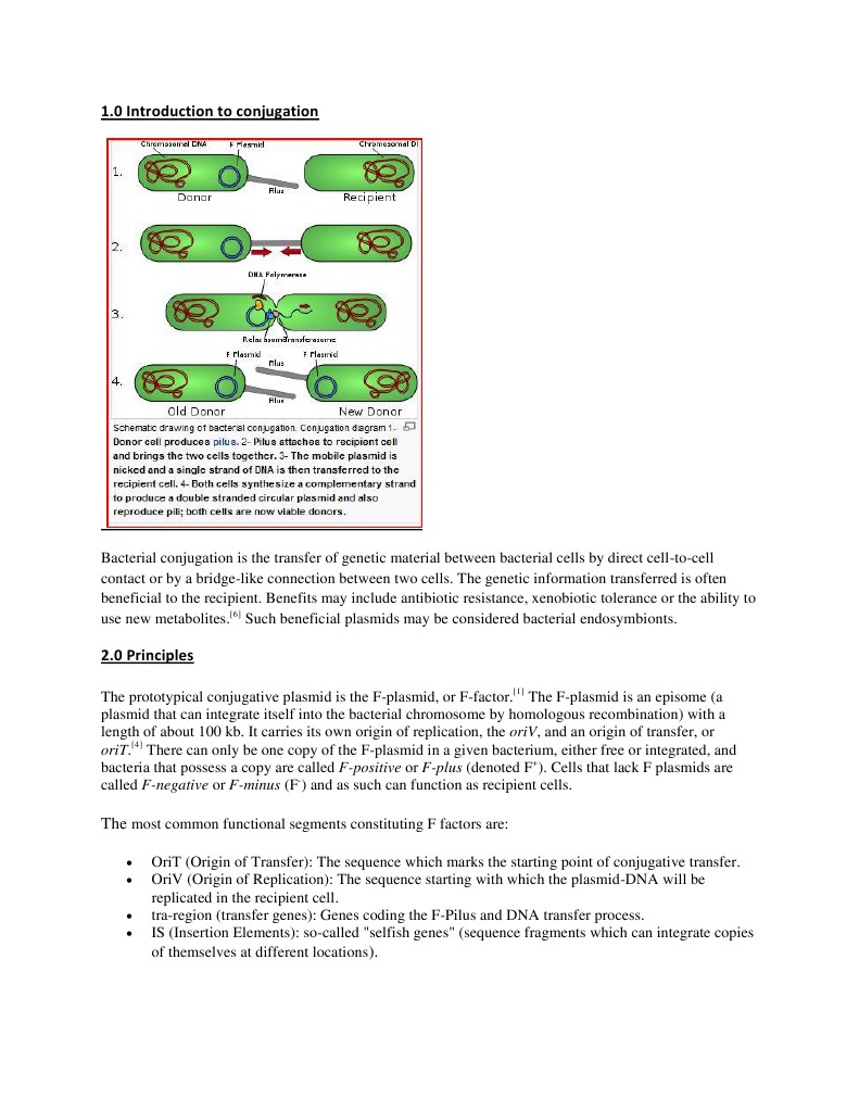 Conjugation | PDF | Life Sciences | Molecular Biology