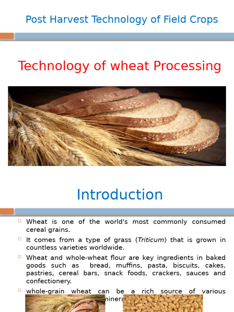 Wheat Processing and Post-Harvest Technology | PDF | Flour | Wheat