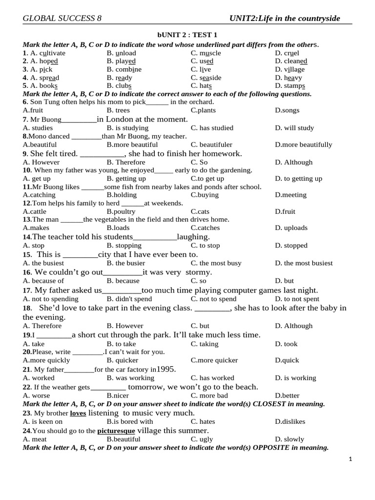 Global Success 8 Unit 2 Test | PDF