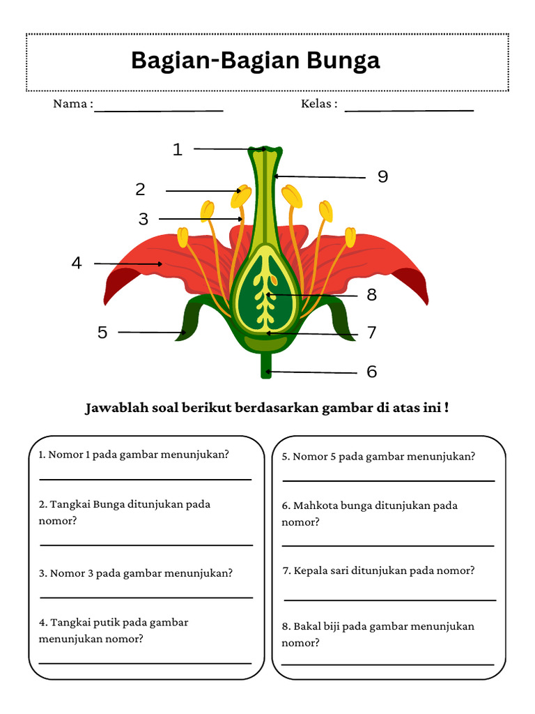 Lembar Kerja Bagian-Bagian Bunga Warna Merah Dan Hijau Gaya Ilustratif ...