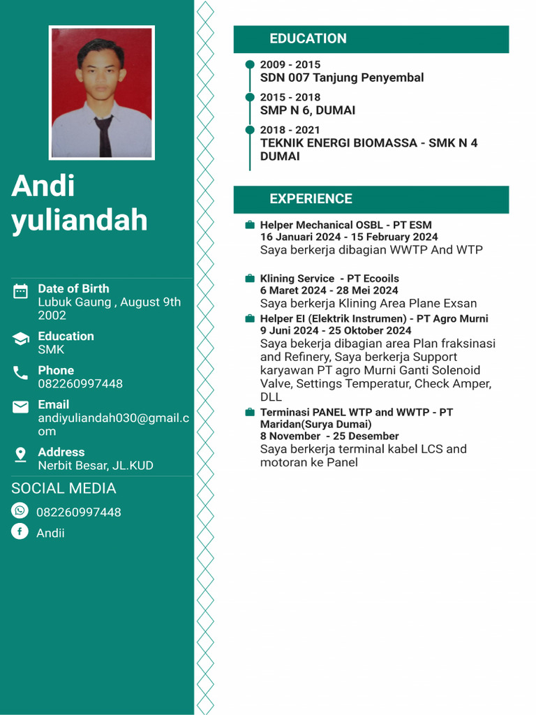 CV Andi | PDF