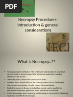 Necropsy Report | PDF | Stomach | Autopsy