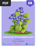 Labeled Flower Anatomy Diagram | PDF | Flowers | Plants