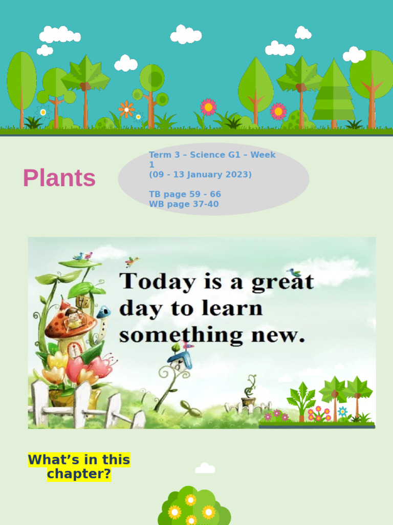 Grade 1 Science Plants | PDF | Plants | Trees