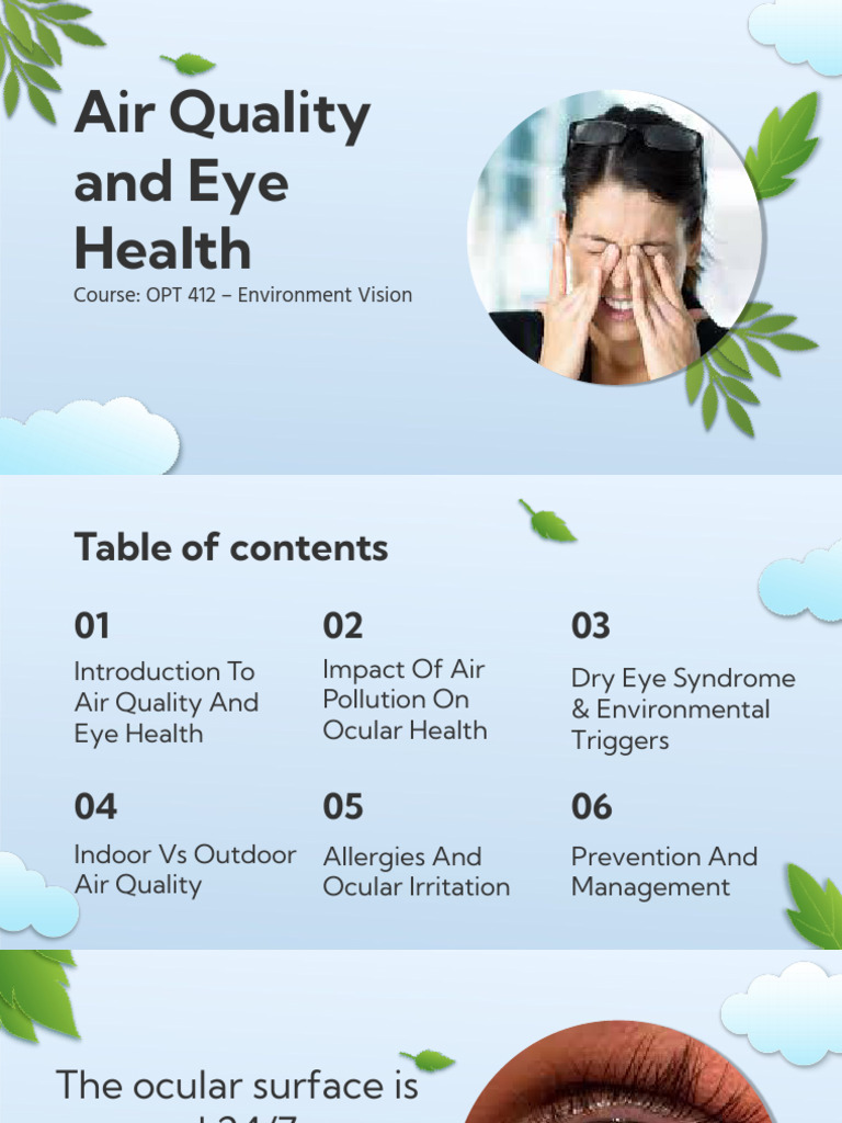 Air Quality's Impact on Eye Health | PDF | Air Pollution | Human Eye