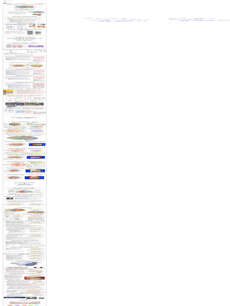 Cerebral Cortex | PDF