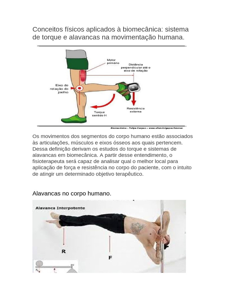 Resumo de Raul - Atividade (n2) | PDF | Músculo | Joelho