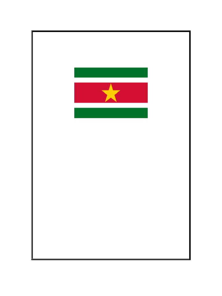 Suriname Annex13 National Drugs Master Plan 2011 2015 | PDF