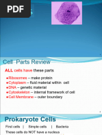 Cell Rap Lyrics | PDF | Cell (Biology) | Cytoplasm