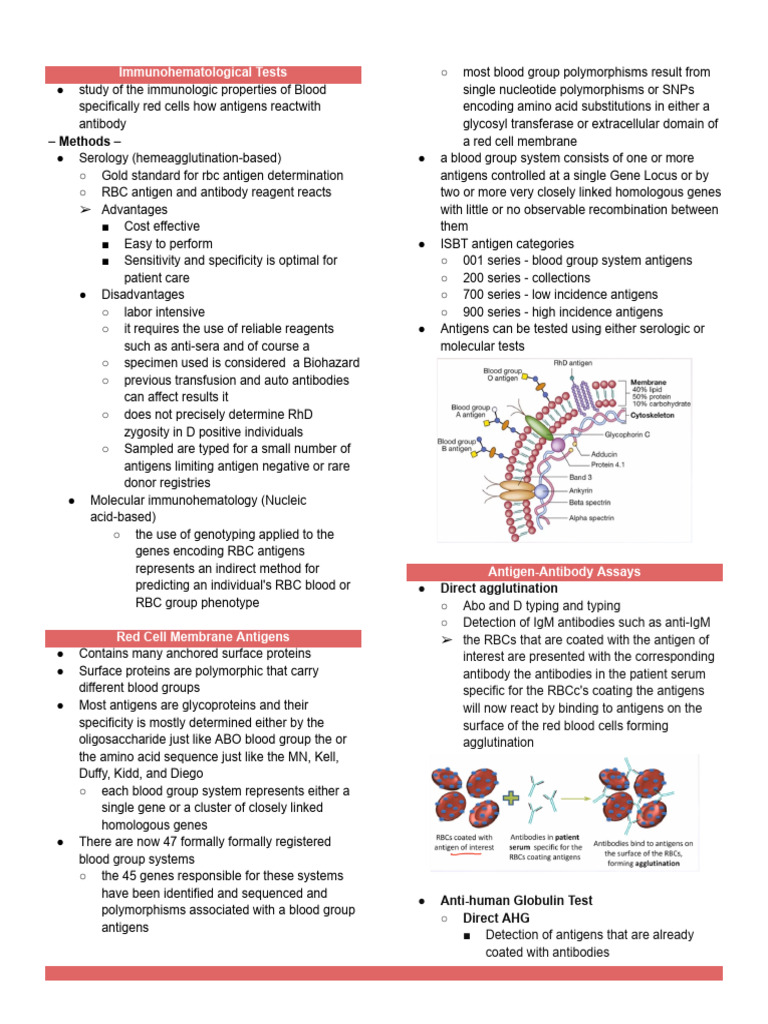 Immunohematological Testing Methods | PDF | Polymerase Chain Reaction ...