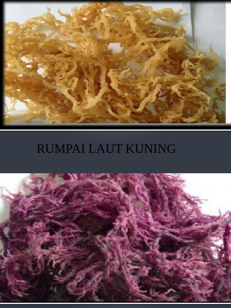 Seaweed Types And Pricing Details Pdf