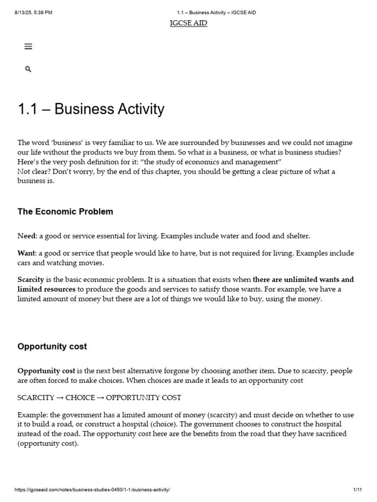 1.1 - Business Activity - IGCSE AID | PDF | Opportunity Cost | Prices