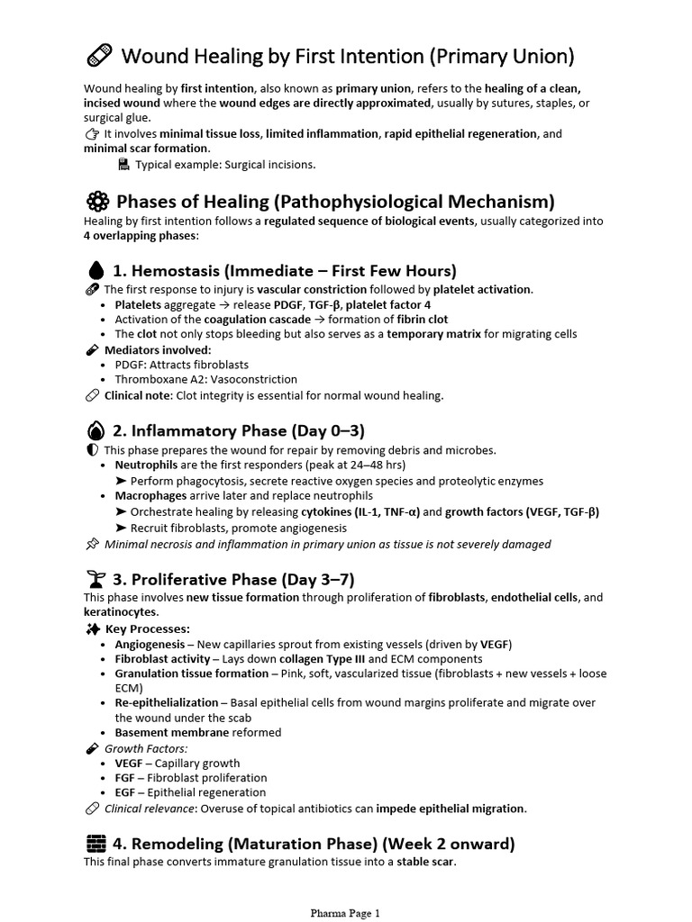 ? Wound Healing by First Intention (Primary Union) | PDF | Wound ...
