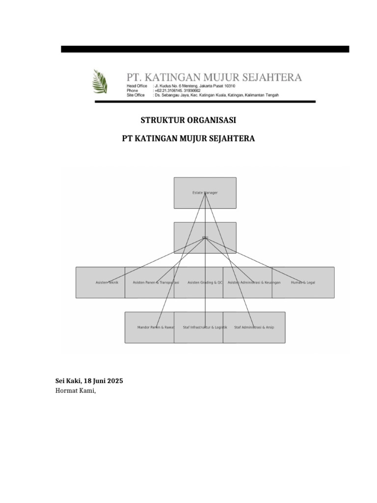Struktur Organisasi PT KMS | PDF