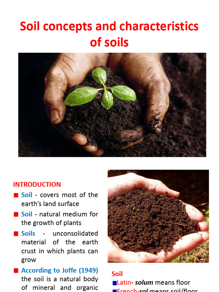 Soil Characteristics and Functions Explained | PDF | Soil | Organic Matter