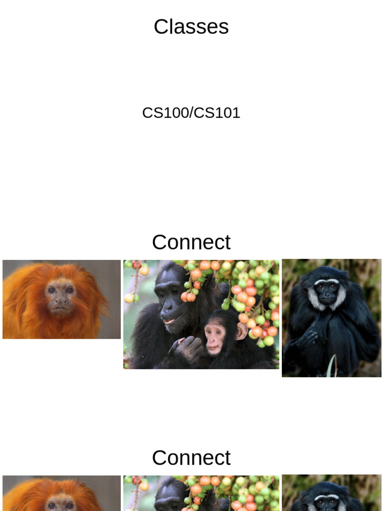 10a.classes | PDF | Zoology