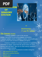 INCAT Sensory Sum Score Guide | PDF | Anatomical Terms Of Location | Finger