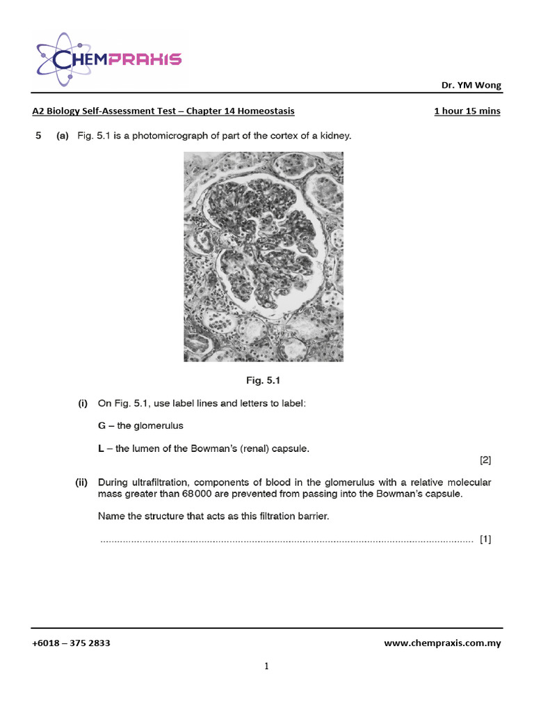 Self-Assessment Test - Chap 14 | PDF
