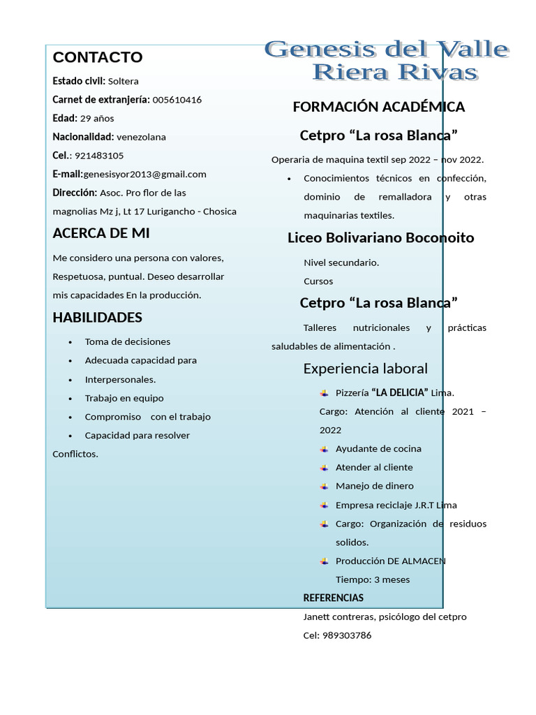 Perfil Profesional de Génesis Manriquez | PDF