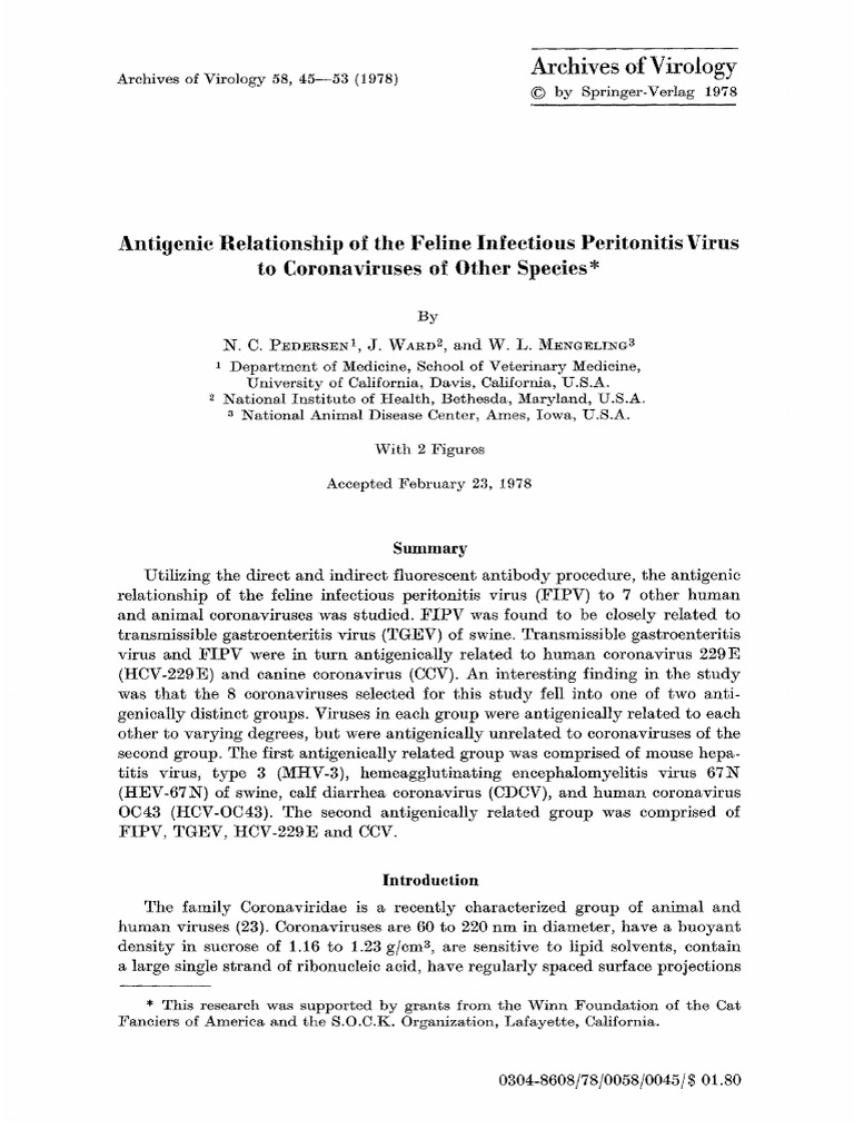 1978 Antigenic Relationship of the Feline Infectious Peritonitis Virus ...