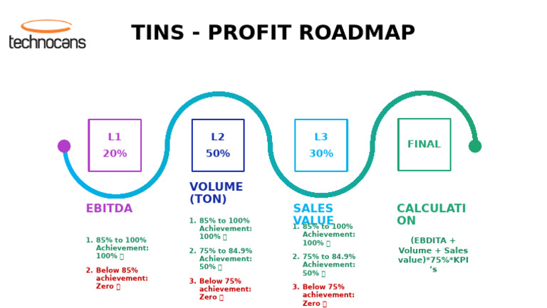 Tins - Profit Roadmap | PDF
