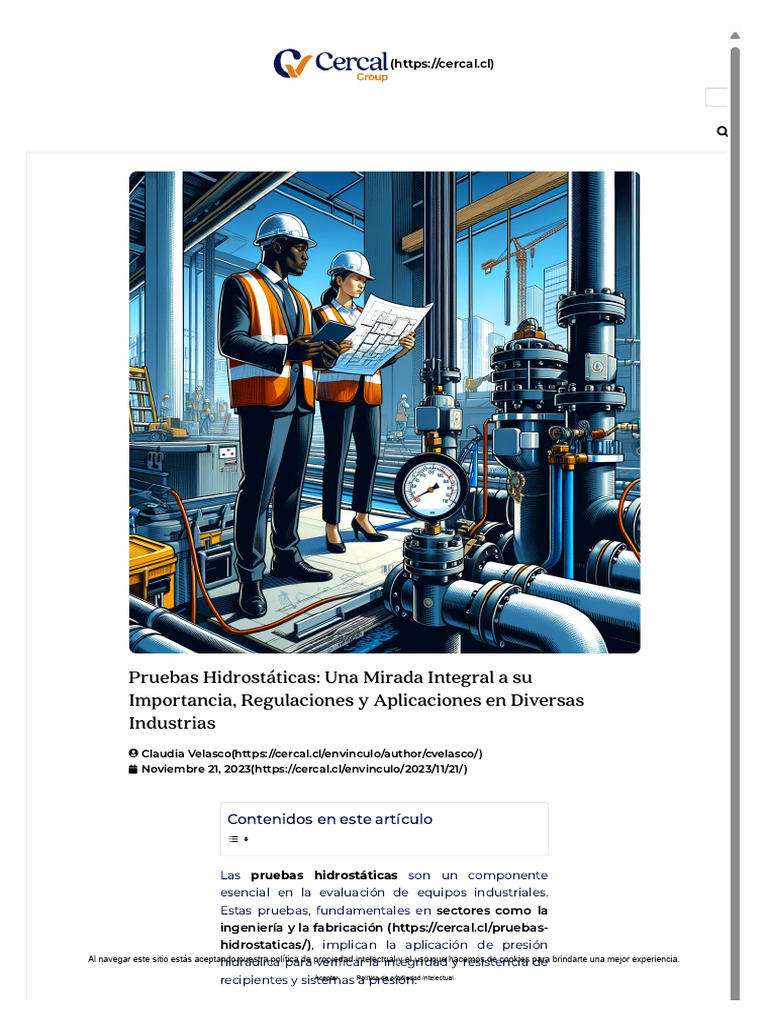 Pruebas Hidrostáticas - Seguridad y Calidad | PDF | Ingeniería de confiabilidad | Cookie HTTP