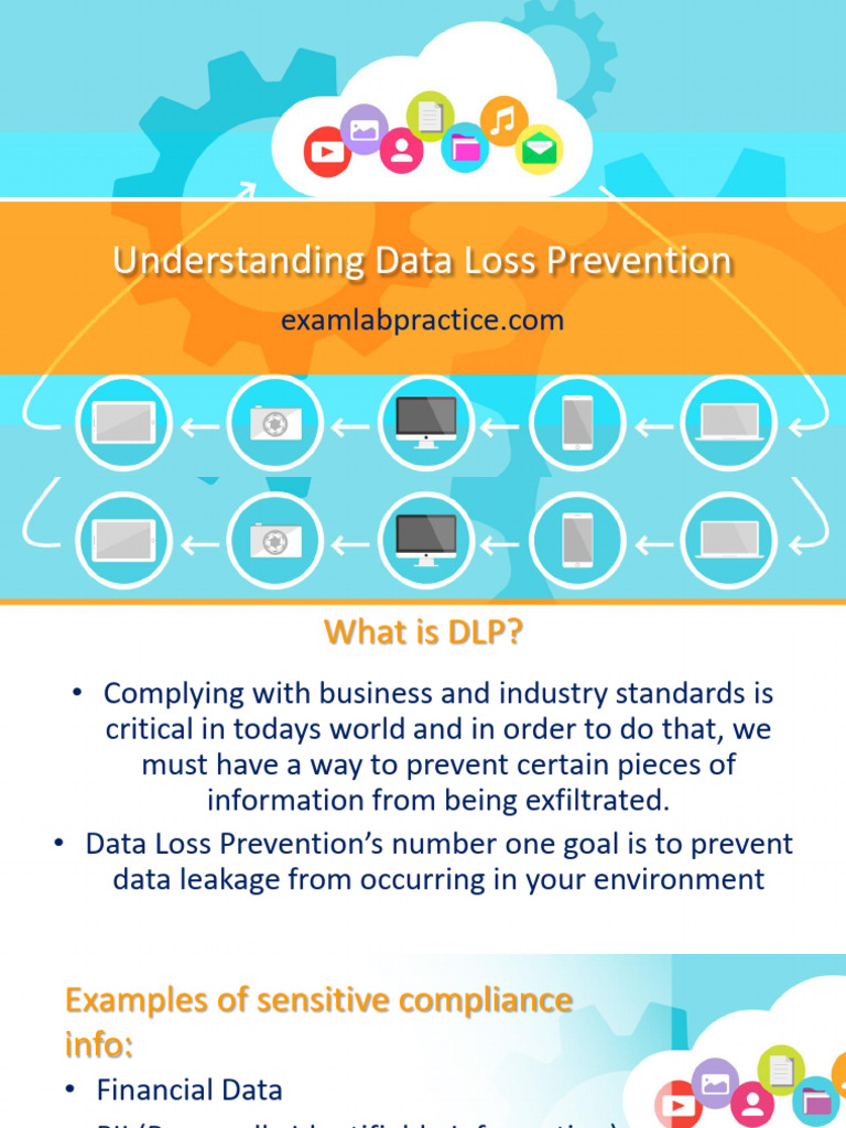 Data Loss Prevention Policy Overview | PDF