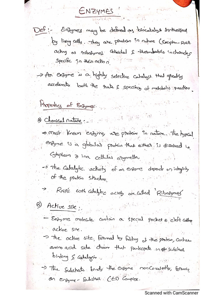 Unit V Enzymes | PDF