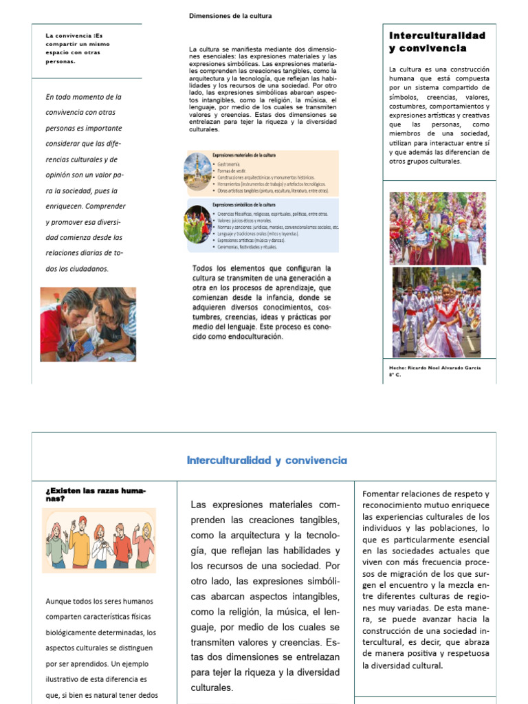 Triptico de Richar 1 | PDF | Sociedad | Aprendizaje