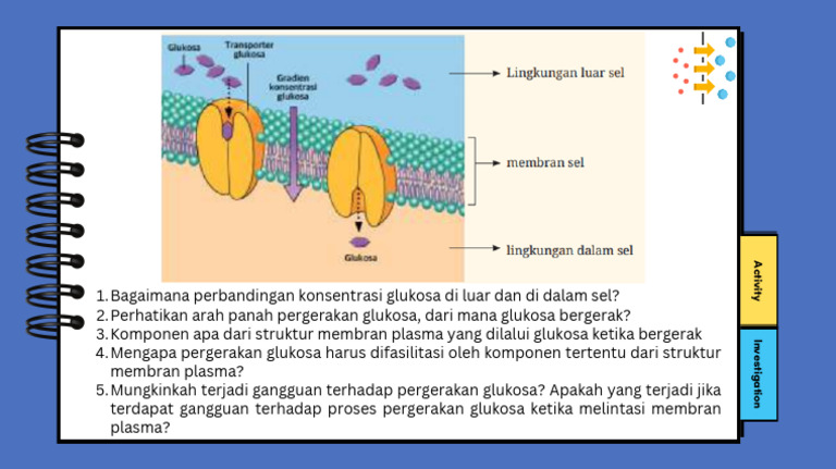Pergerakan Glukosa Melalui Membran Plasma | PDF