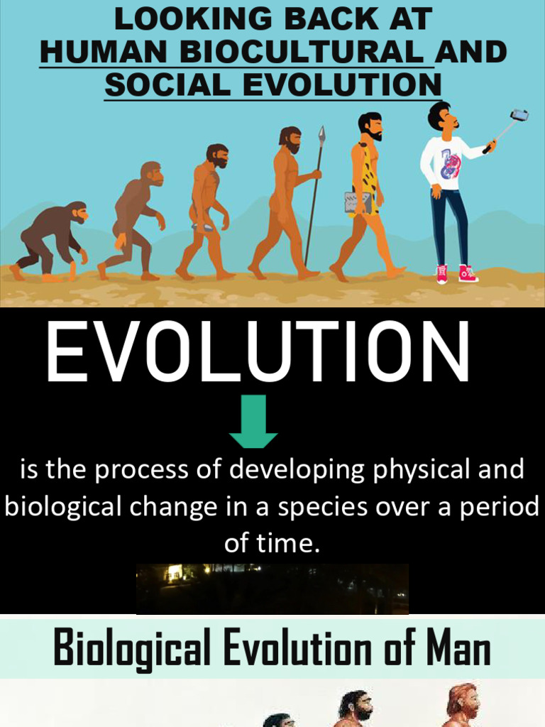 3 Biological and Cultural Evolution | PDF | Homo | Stone Age