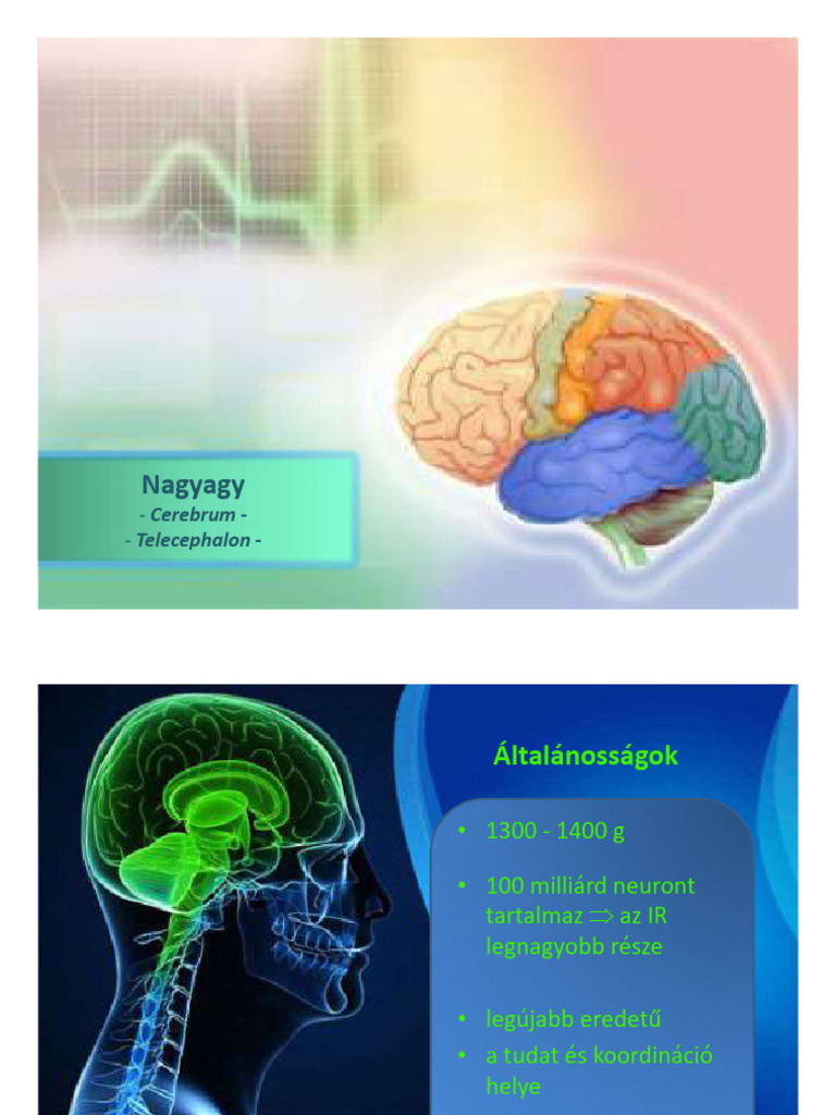 Nagyagy | PDF