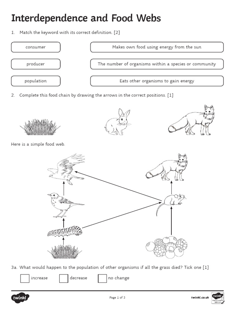 Interdependence and Food Webs Homework | PDF | Foods | Natural Environment
