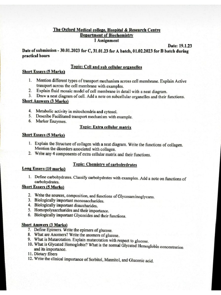 Biochemistry Assignment Final | PDF | Glycolysis | Metabolic Pathway