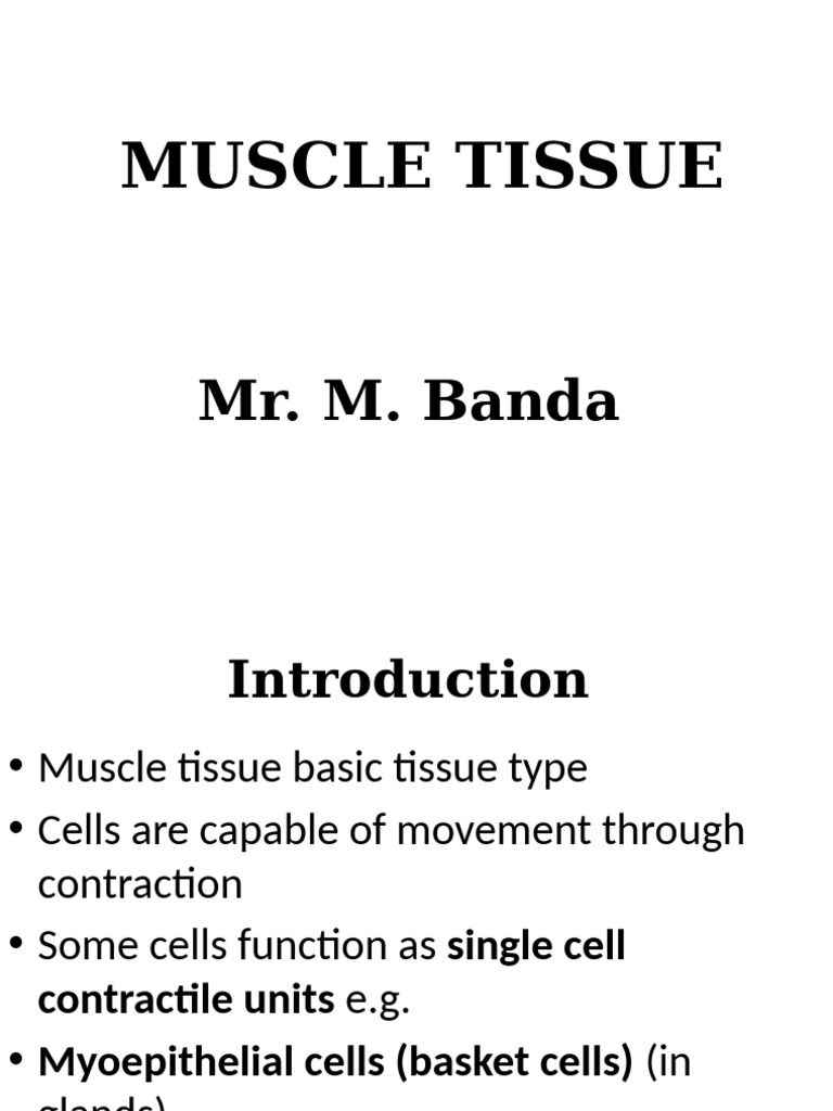 9A. Histology of Muscle Tissue | PDF | Muscle Contraction | Skeletal Muscle