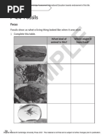Grade 5 Science: Forces & Magnetism Test | PDF | Force | Magnet