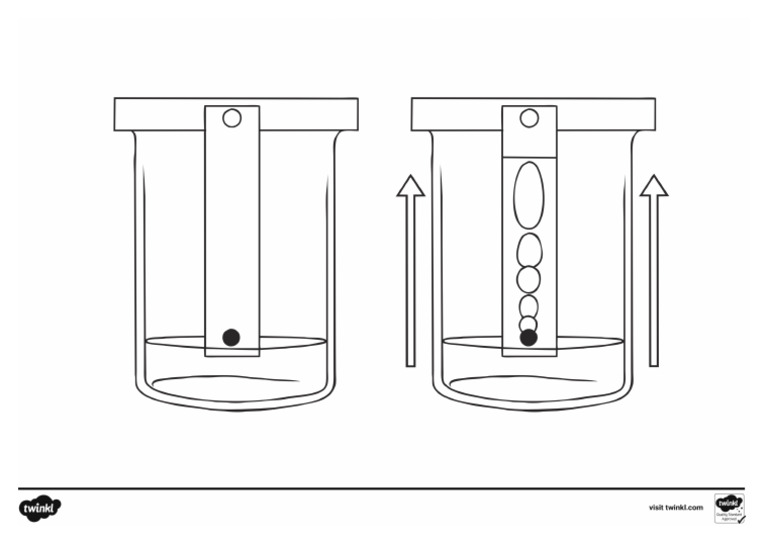Chromatography Colouring Sheet | PDF