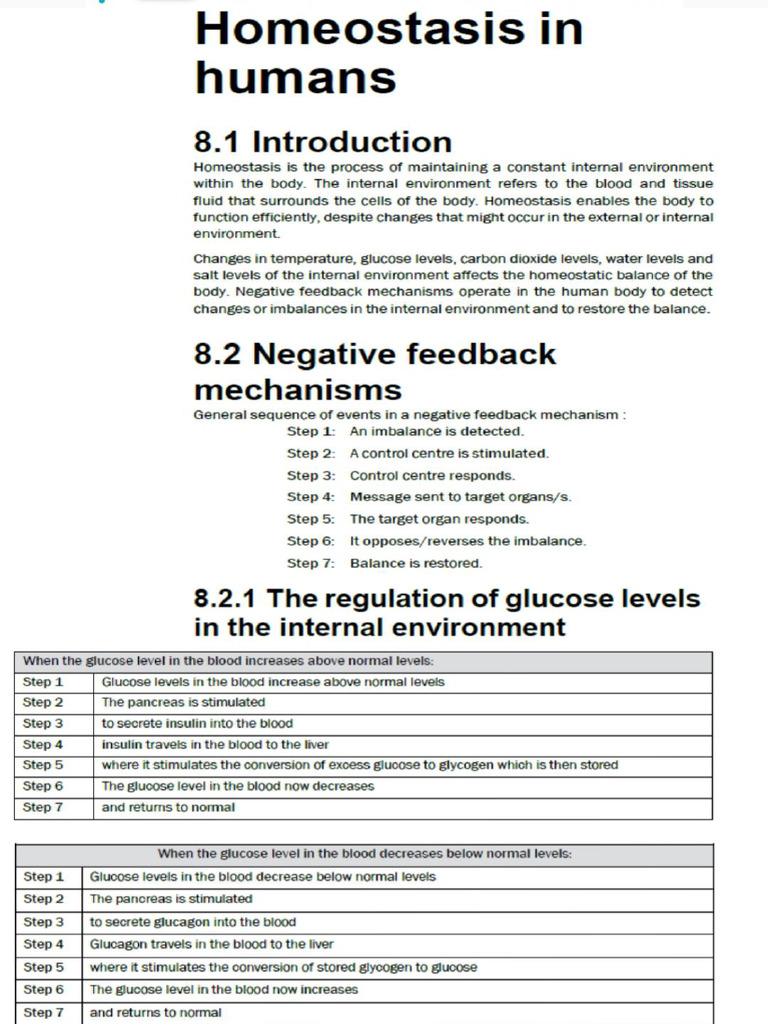 Homeostasis in Humans: Grade 12 Notes | PDF | Homeostasis | Kidney