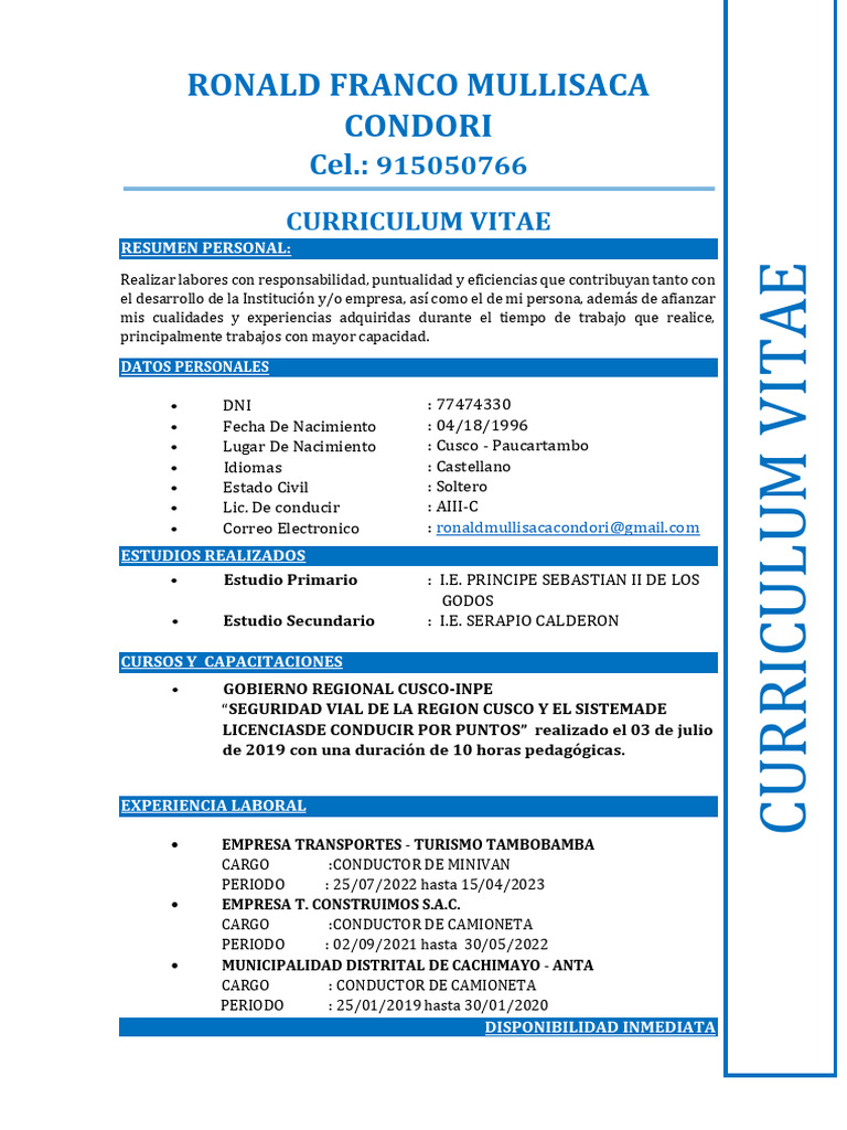 Currículum Vitae de Ronald Franco Mullisaca | PDF